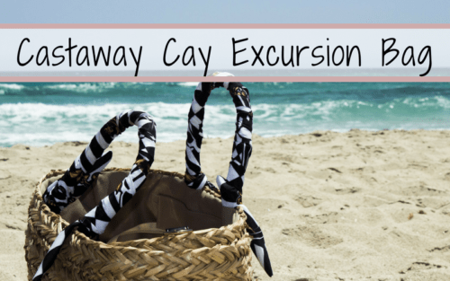 The Perfect Castaway Cay Excursion Bag • Mouse Travel Matters