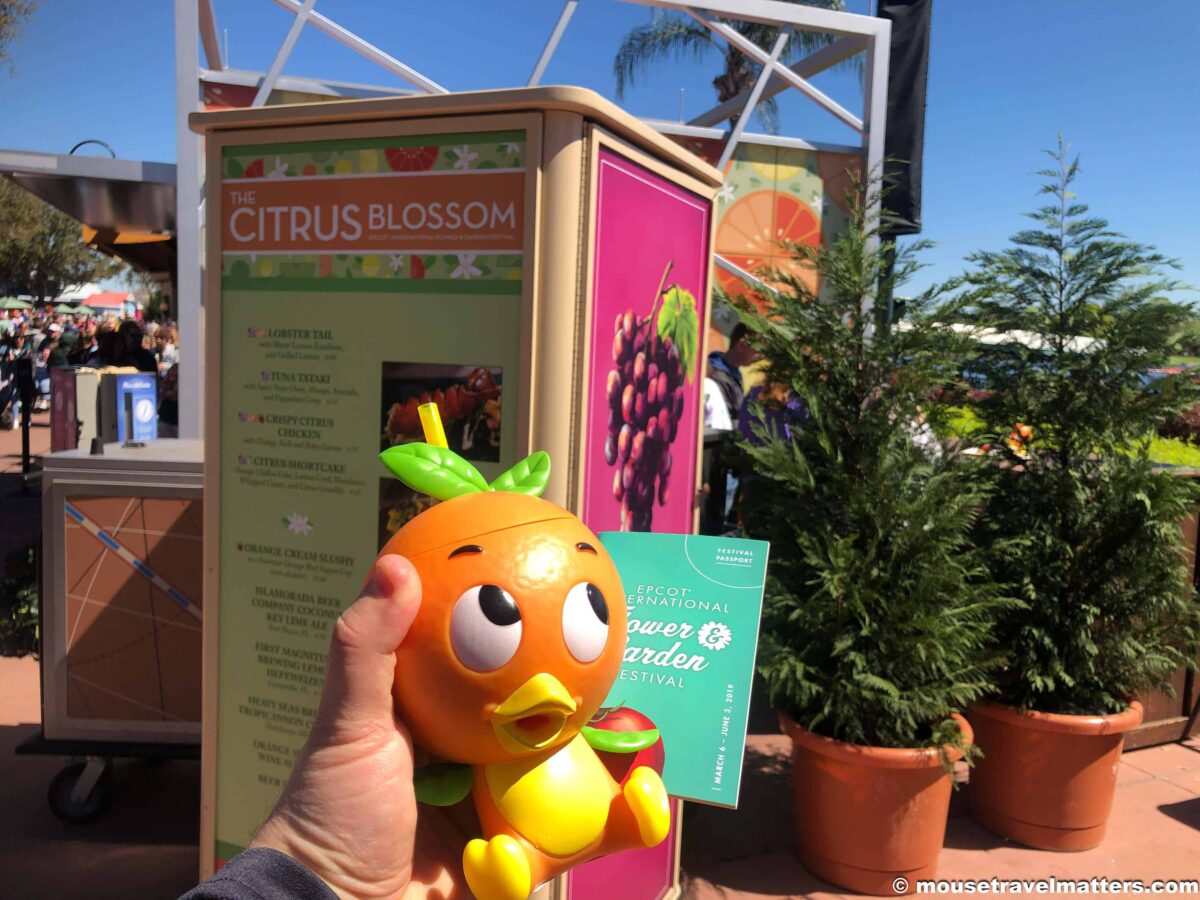 PHOTOS: Orange Bird Sipper Arrives at 2019 Epcot International Flower ...