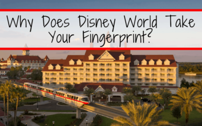 Why Does Disney World Take Your Fingerprint? • Mouse Travel Matters