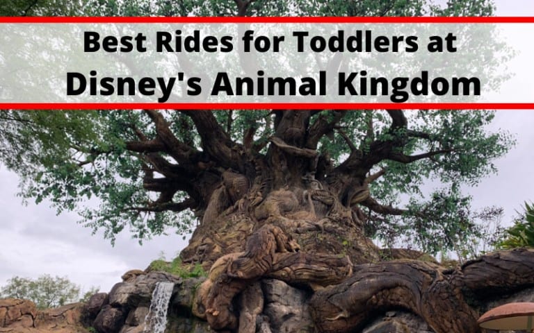 Best Rides for Toddlers at Disney's Animal Kingdom • Mouse Travel Matters