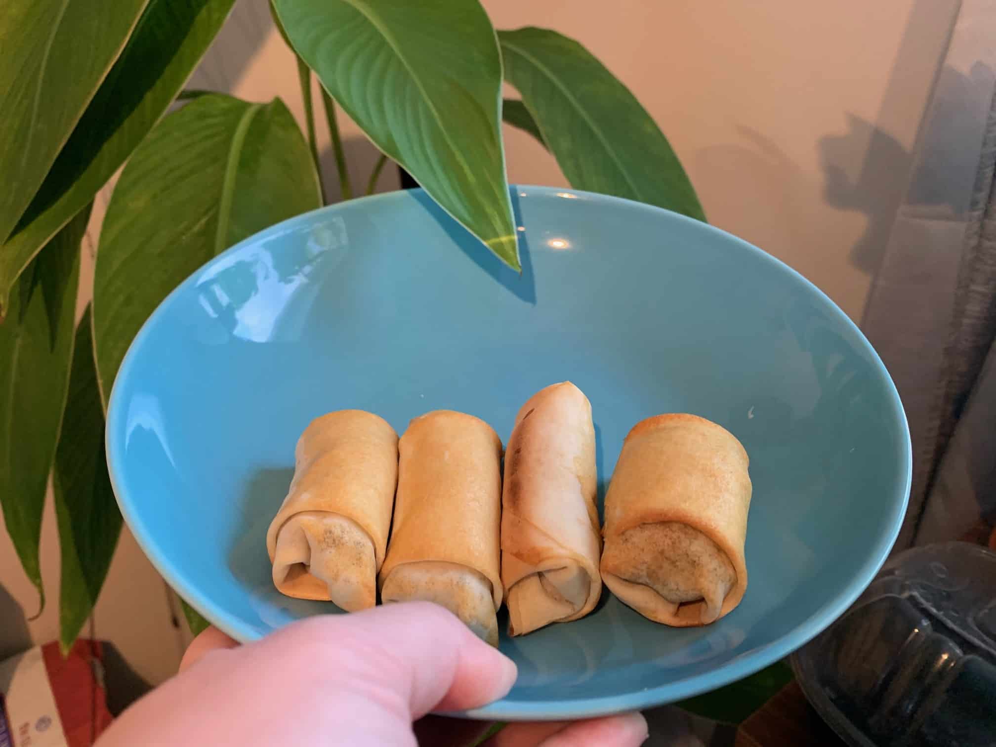 Cheeseburger Spring Rolls Near Adventureland • Mouse Travel Matters