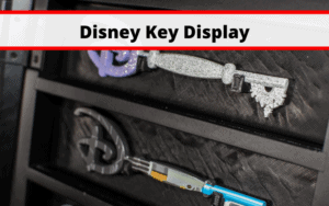 Disney Collectible Keys: Coin Display Insert • Mouse Travel Matters